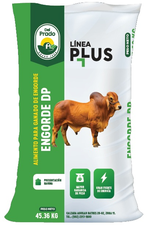 Organic Store | Responsive HTML5 Template